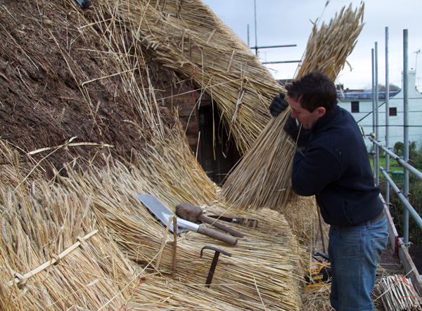 The Art of Thatch - CNCH
