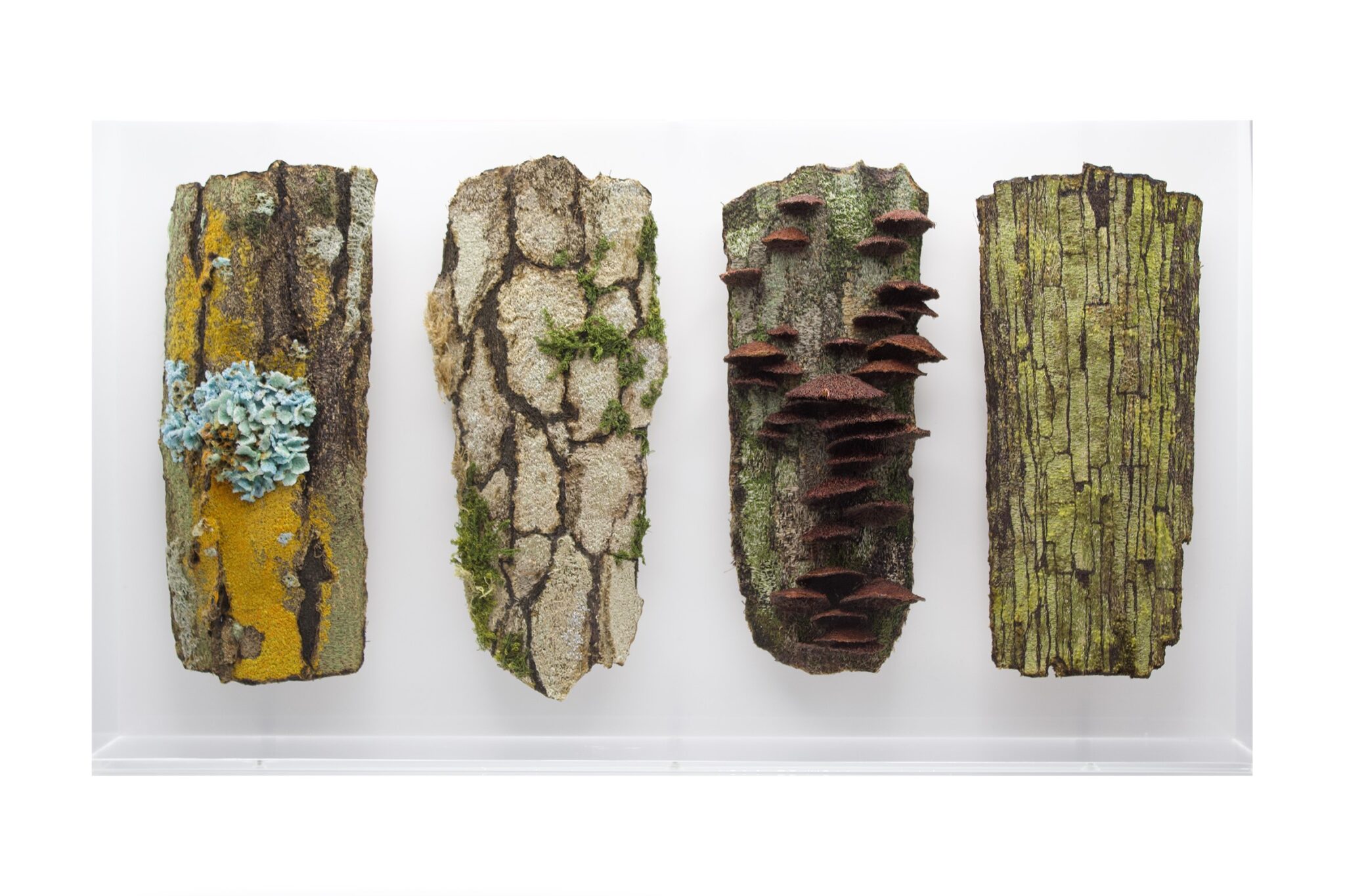 The Woman Who Embroiders Nature: A Conversation with Amanda Cobbett - CNCH