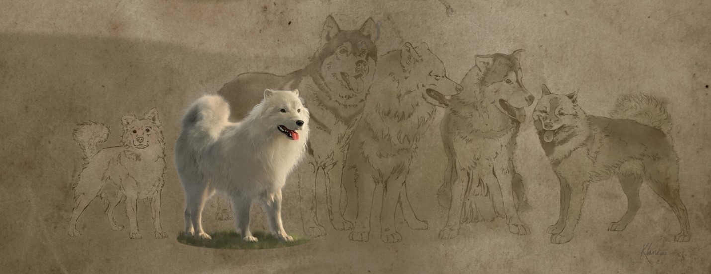 Mutton: The Wooly Dog of the First Nation - CNCH