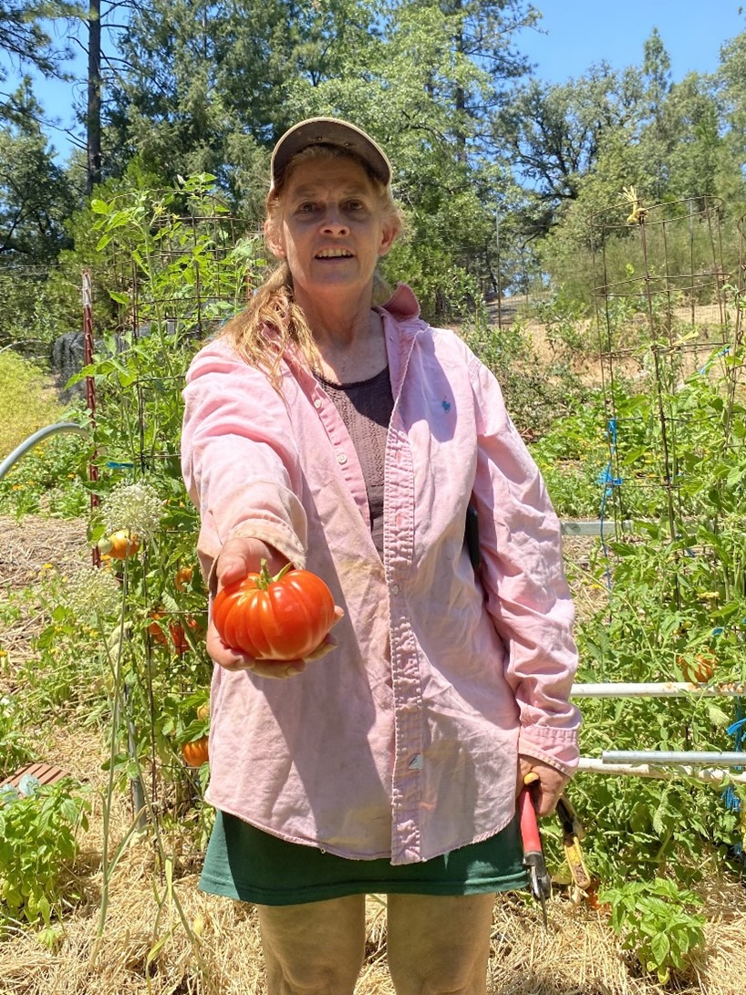 Interview with a Renaisssance Woman: Rose Justi - CNCH