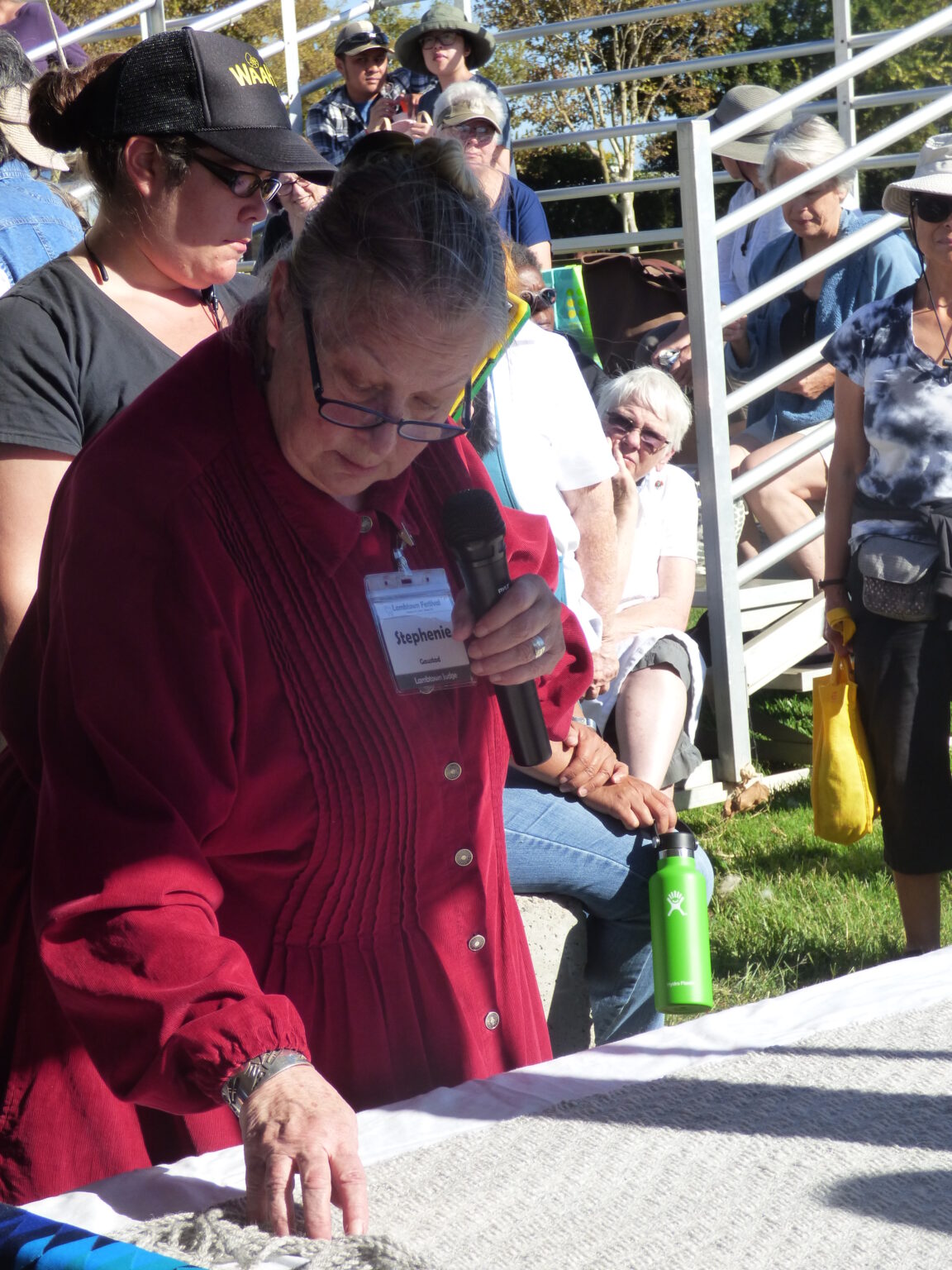 A True Renaissance Woman in Our Midst: Stephenie Gaustad - CNCH